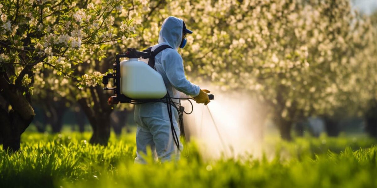 Oprysk na parcha jabłoni - kiedy opryskiwać i jak chronić drzewa? | Rolniknaobcasach.pl